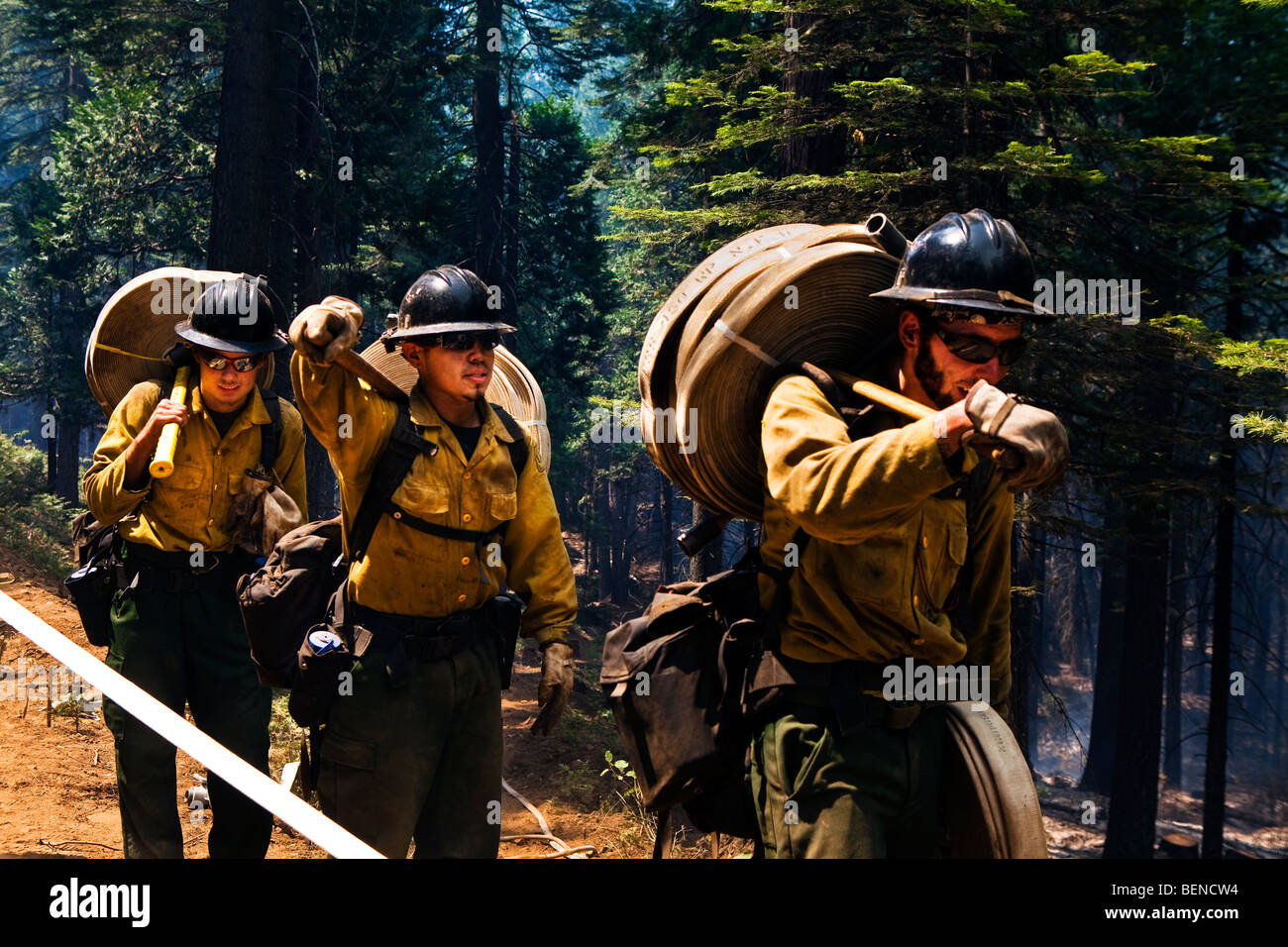 Forest firefighters hi-res stock photography and images - Alamy