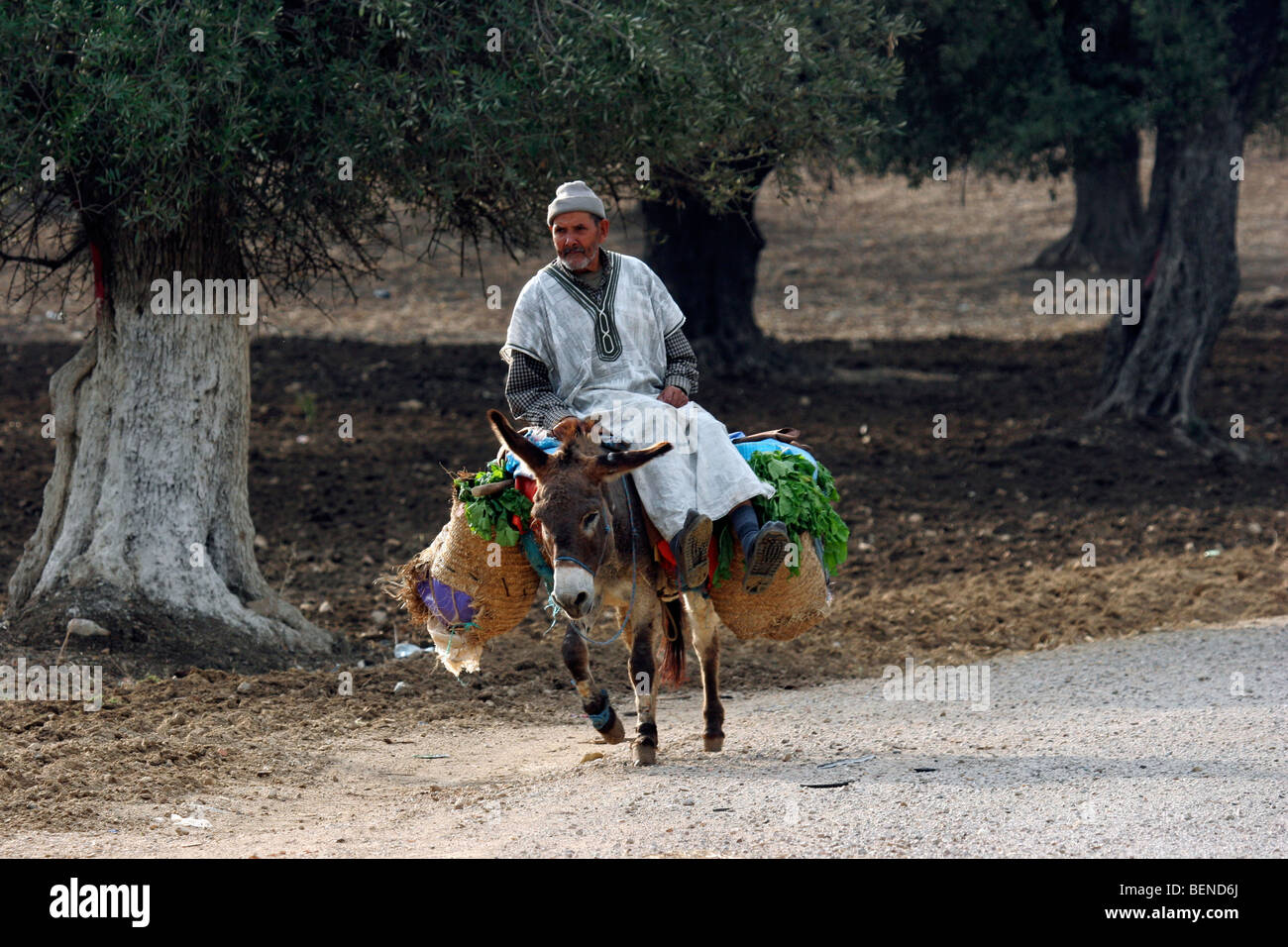 Laden donkeys hi-res stock photography and images - Alamy