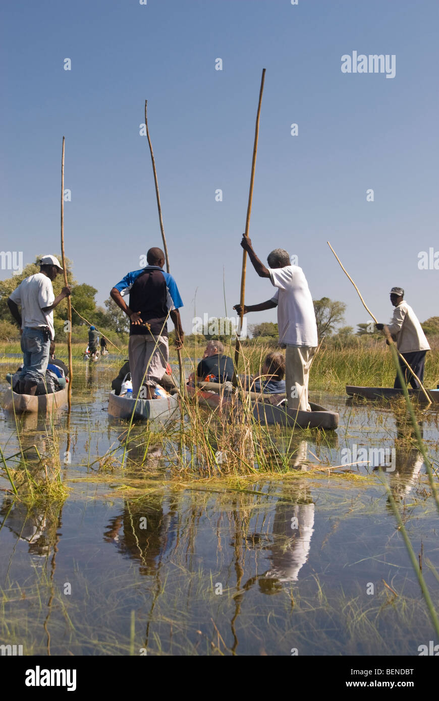 Mokoro polers. Okavango delta, Botswana, Africa Stock Photo - Alamy