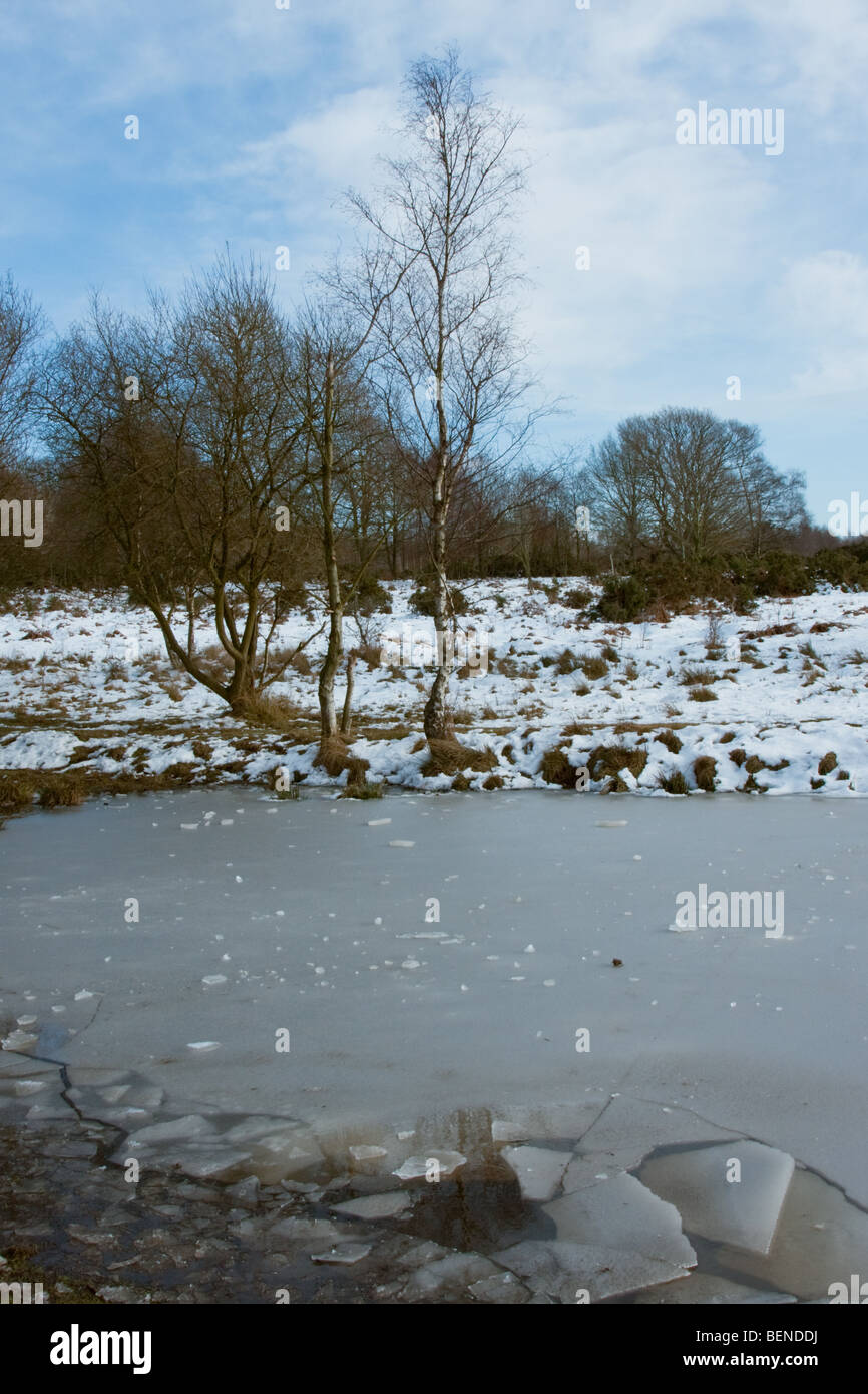 Icey pond hi-res stock photography and images - Alamy