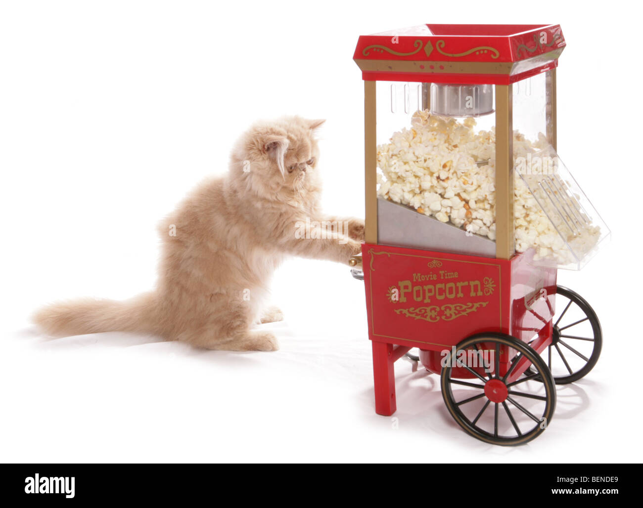 Studio machine hi-res stock photography and images - Alamy