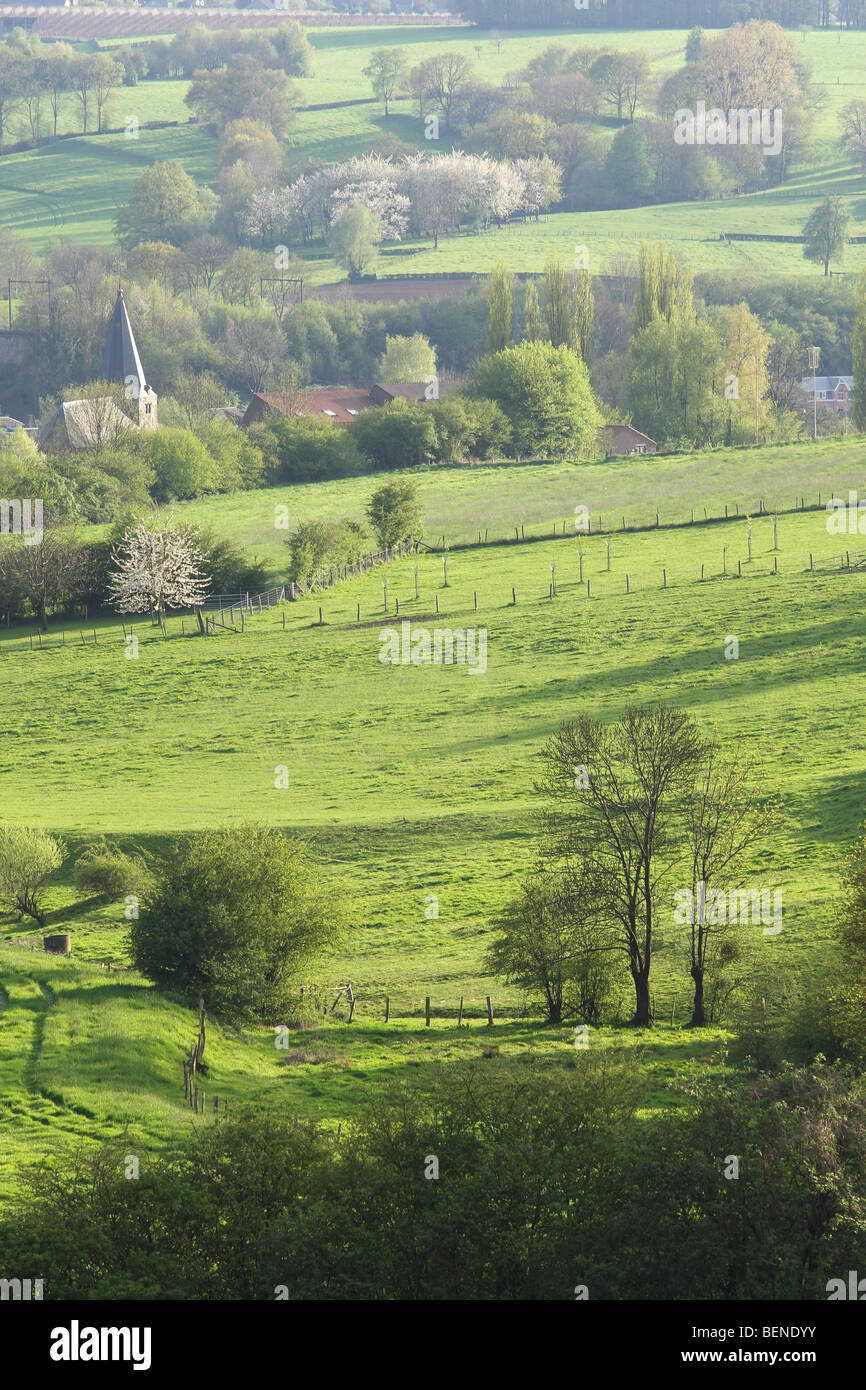Bocage landscape with hedges and trees, Voeren, Belgium Stock Photo - Alamy