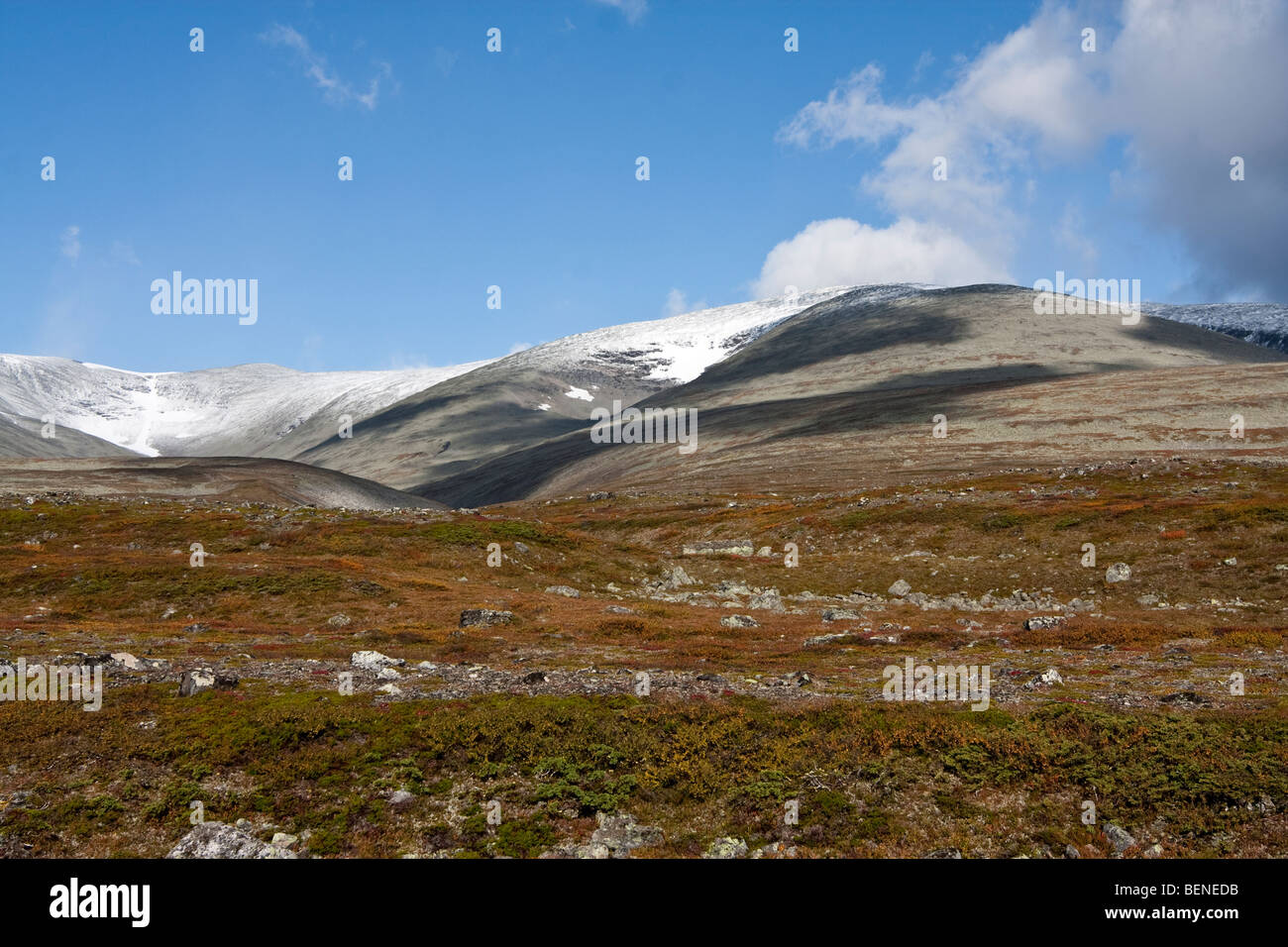Sarek National Park Stock Photo - Alamy