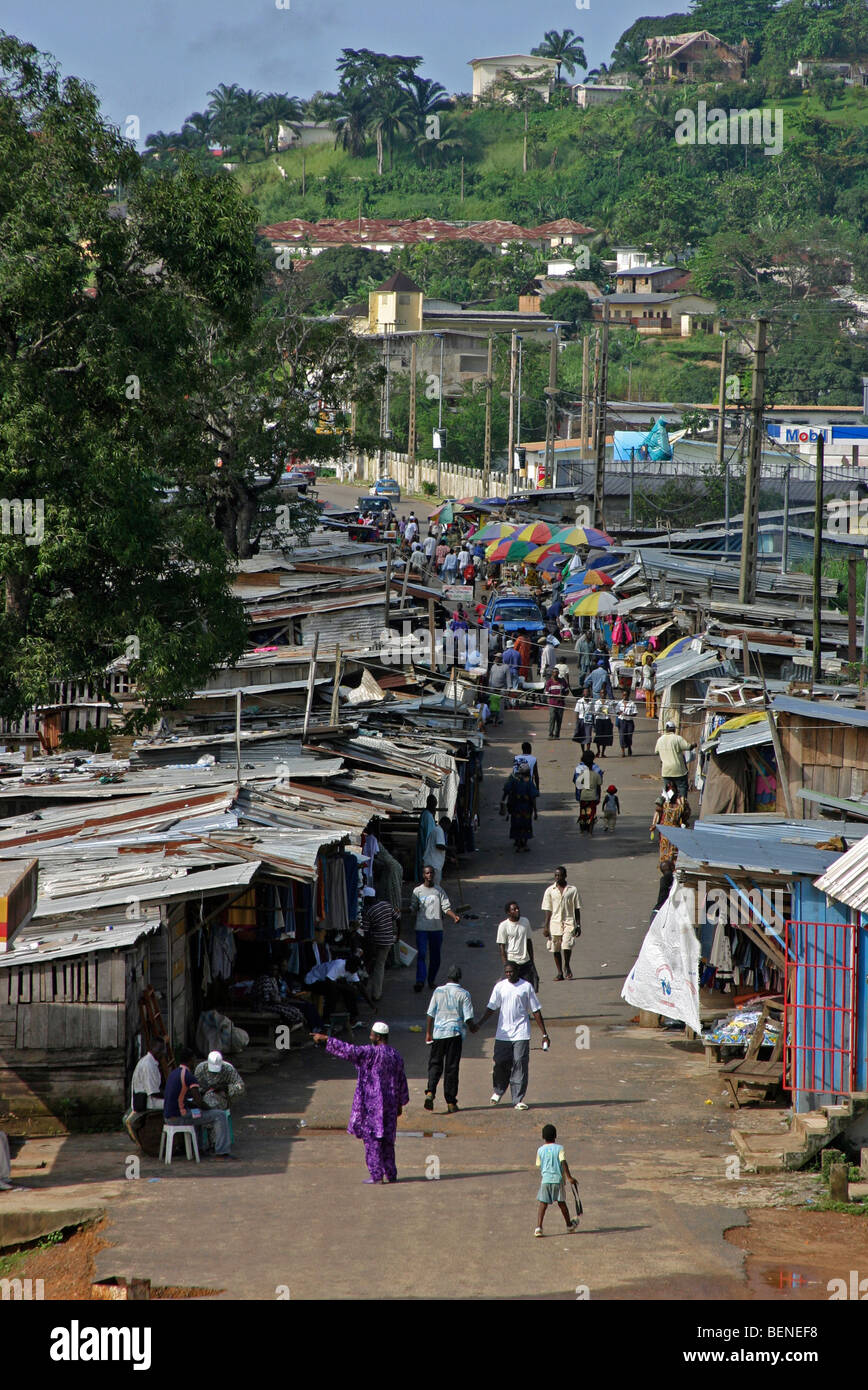 Native to gabon hi-res stock photography and images - Alamy