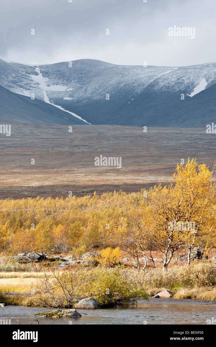 Sarek National Park Stock Photo - Alamy