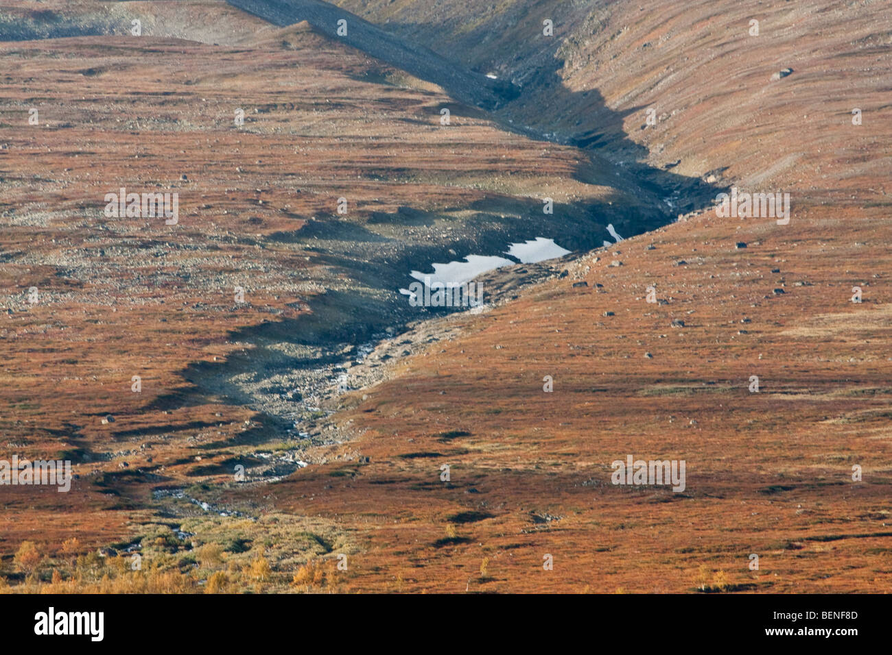 Sarek National Park Stock Photo - Alamy