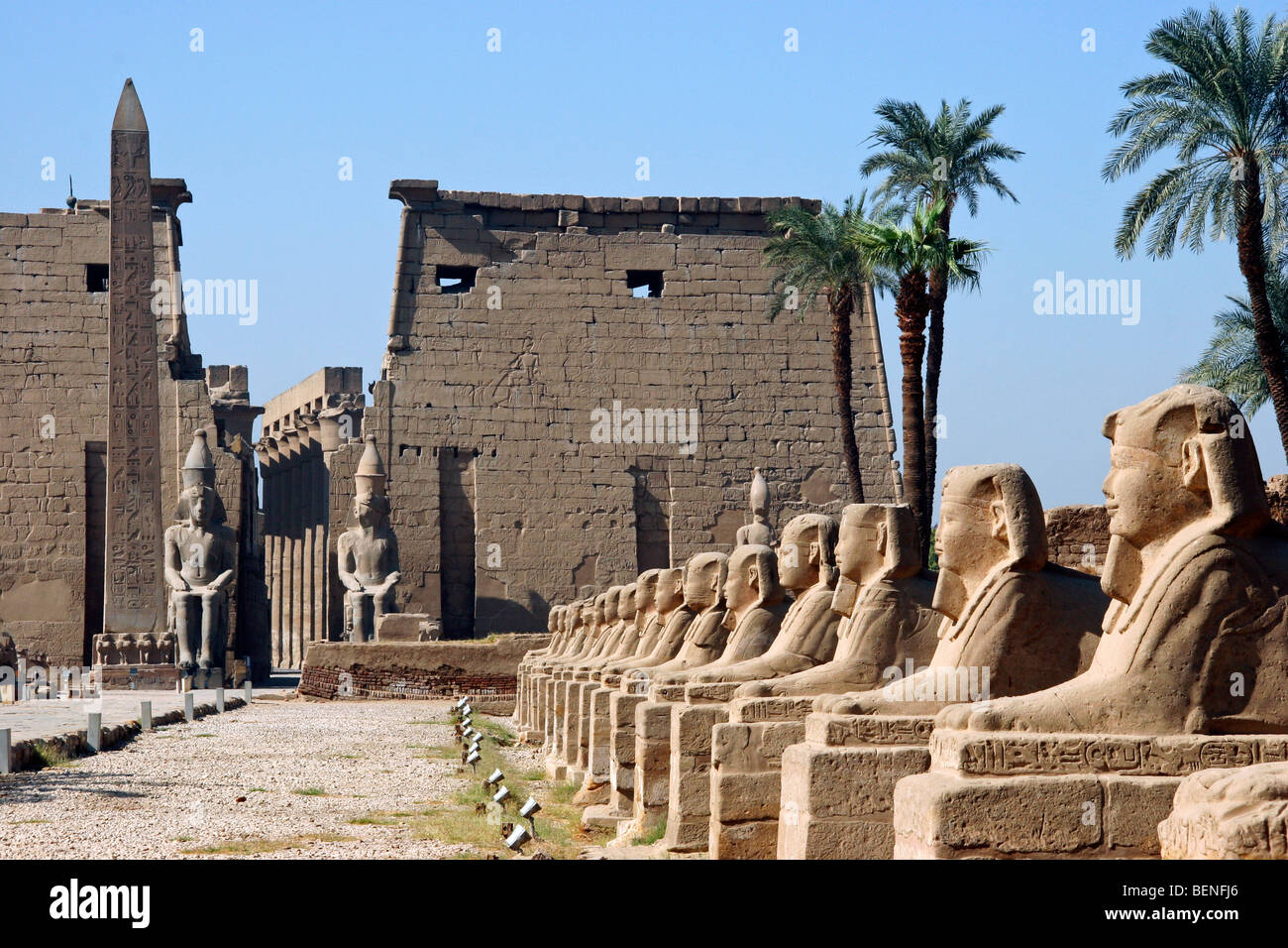 Row of Sphinxes leading to the entrance of the Luxor Temple, Egypt ...