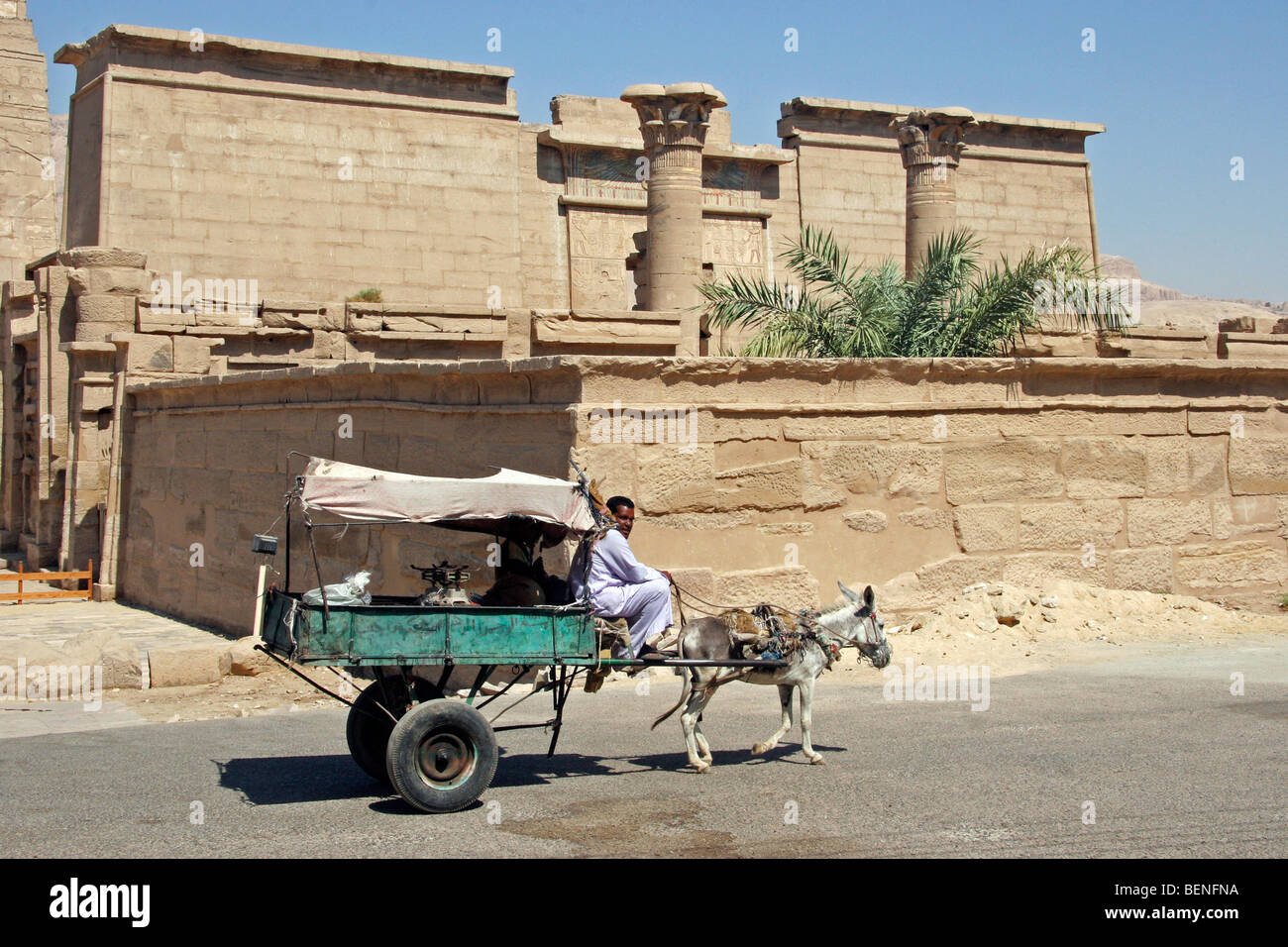 Egyptian riding donkey hi-res stock photography and images - Alamy