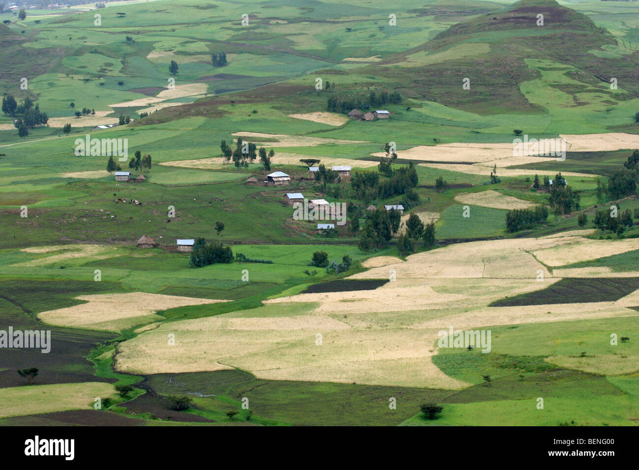 Agriculture showing farmland with fields and primitive huts in the ...
