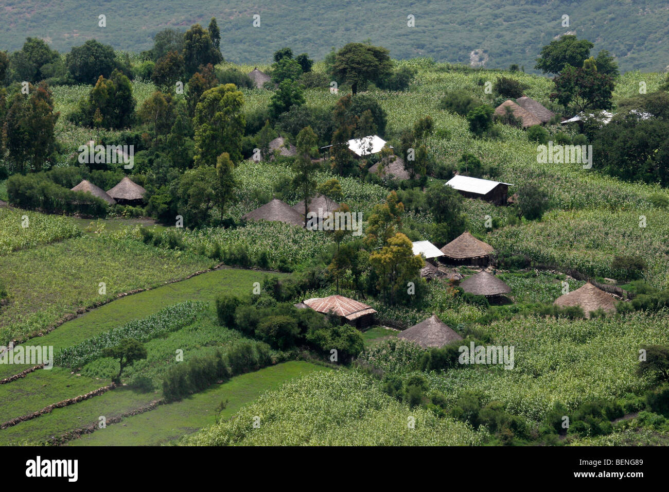 Agriculture showing farmland with fields and primitive huts in the ...