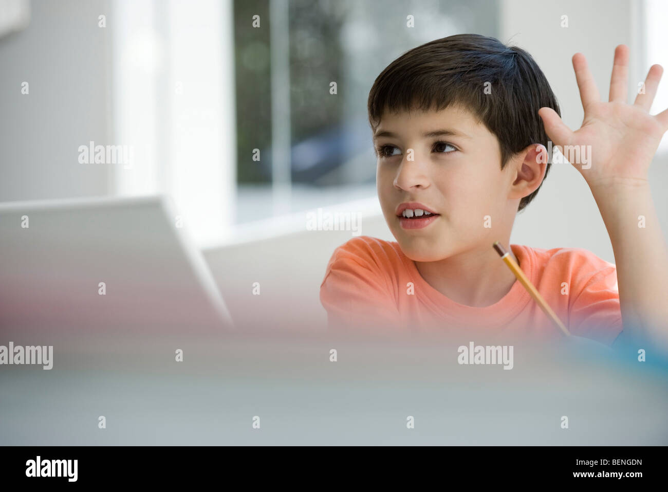 Boy raising hand computer class hi-res stock photography and images - Alamy