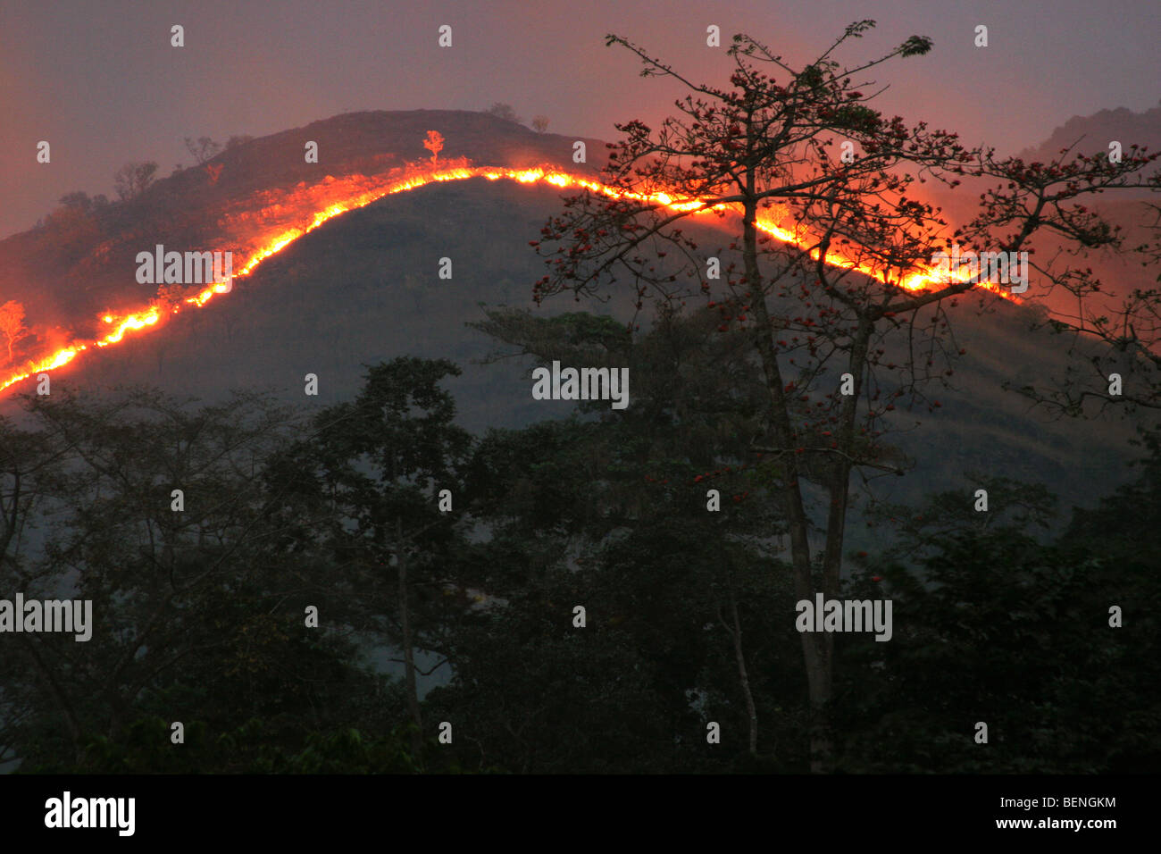 Slash-and-burn / slash and burn / controlled burning of grassland on ...