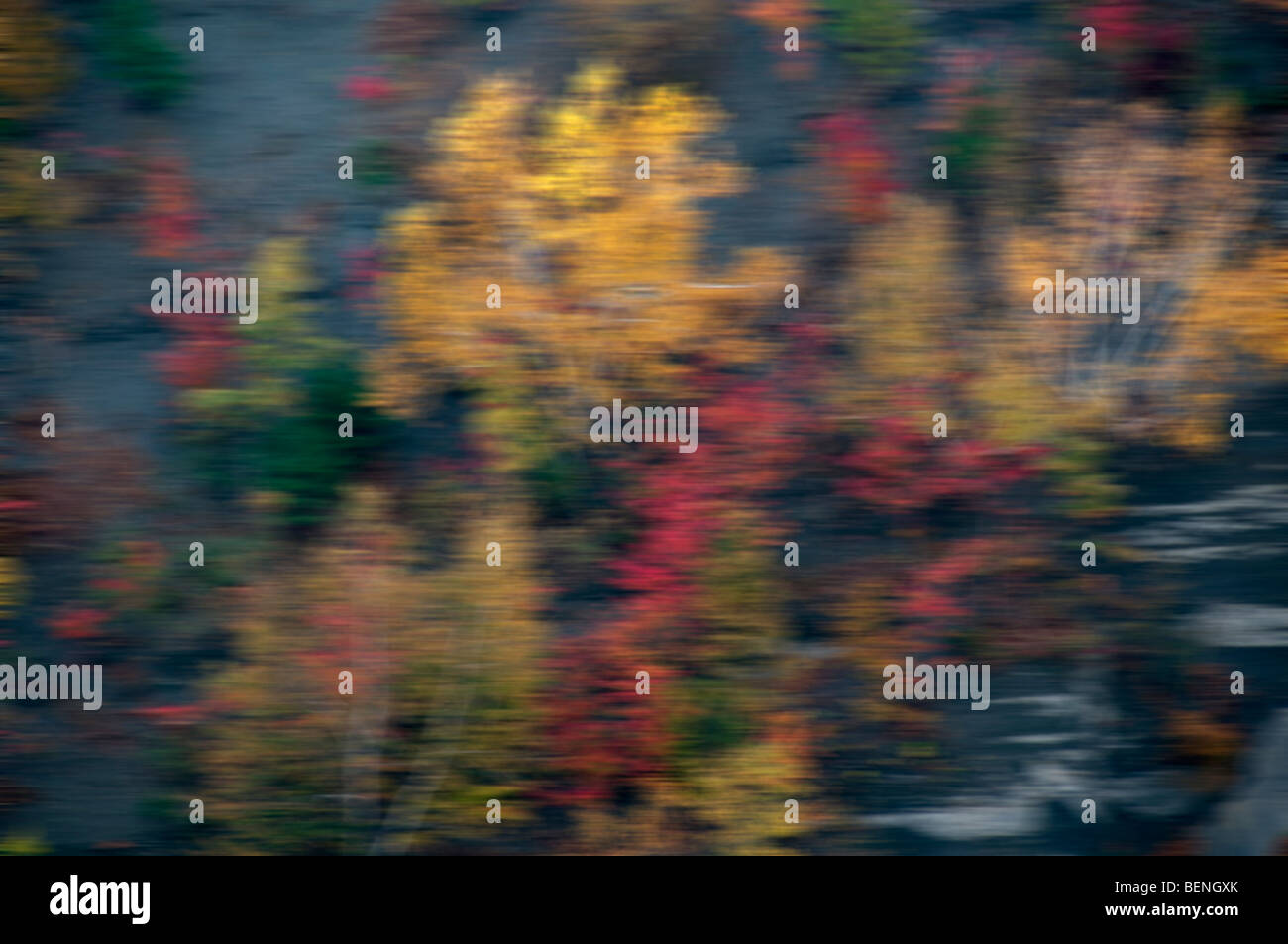 Abstract autumn foliage hi-res stock photography and images - Alamy