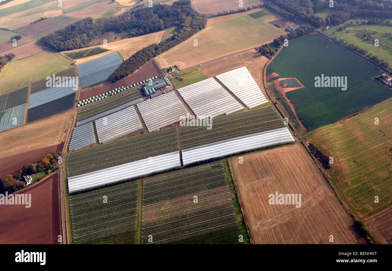 Aerial view of polytunnels on a fruit farm in Perthshire Stock Photo ...