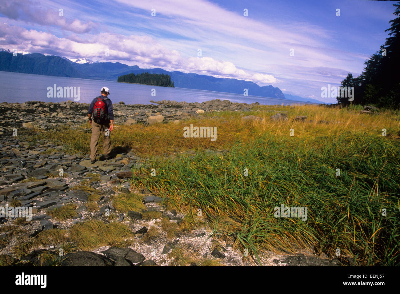 Man hiking on Alaska coast Stock Photo - Alamy
