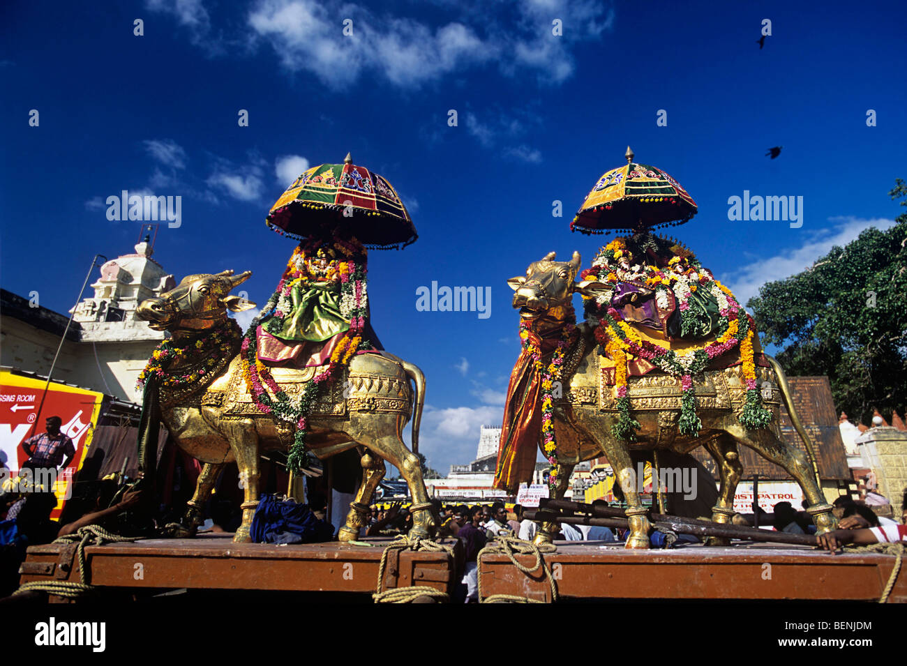 Parvathavardini mounted on Rishabha Rameshvaram Tamil Nadu India Stock ...