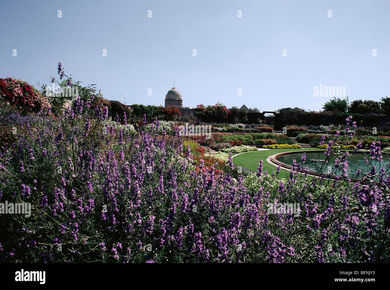 Pinjore garden hi-res stock photography and images - Alamy