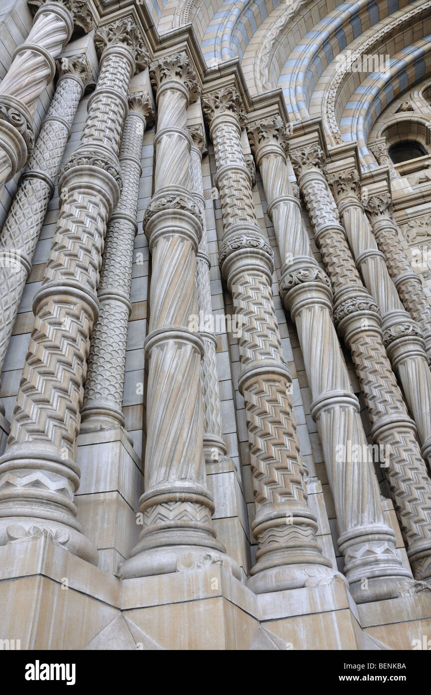 Victorian columns at Natural History Museum at London Stock Photo - Alamy