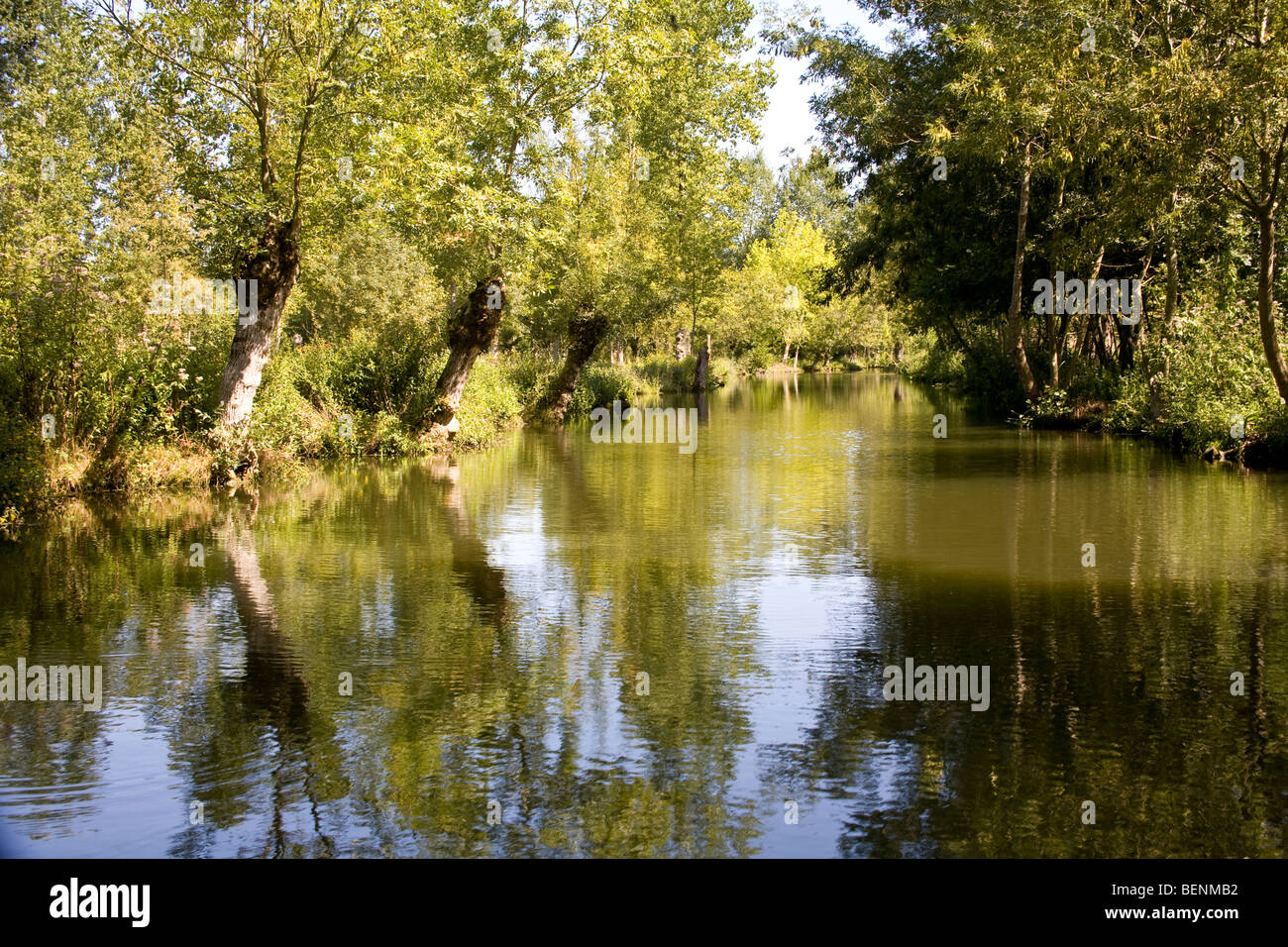 Trees and reflection in the Marais Poitevin, (the Marsh of Poitou ...