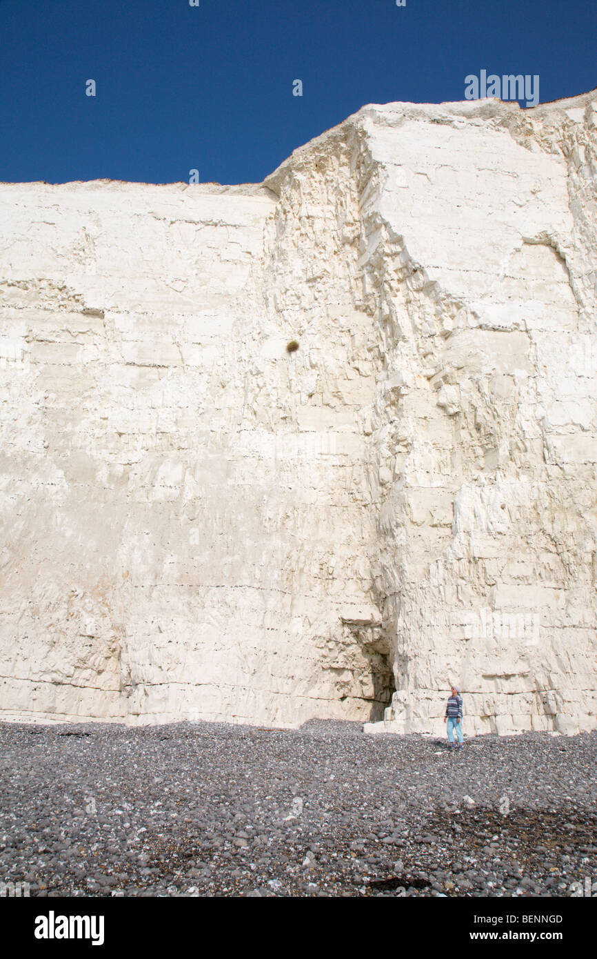 The tall chalk cliffs at Birling Gap, Sussex, England, UK Stock Photo ...