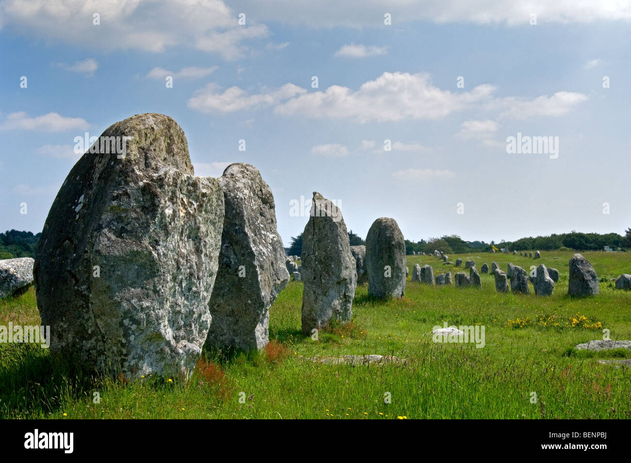 Standing Stones In Brittany