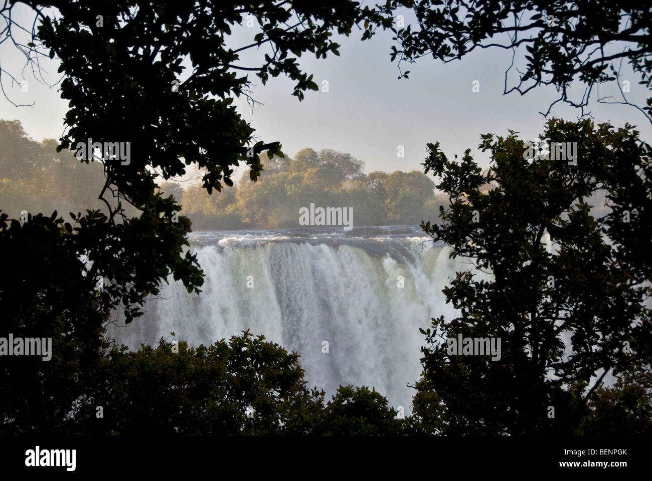View of the Victoria falls through the trees, Zimbabwe, Africa Stock ...