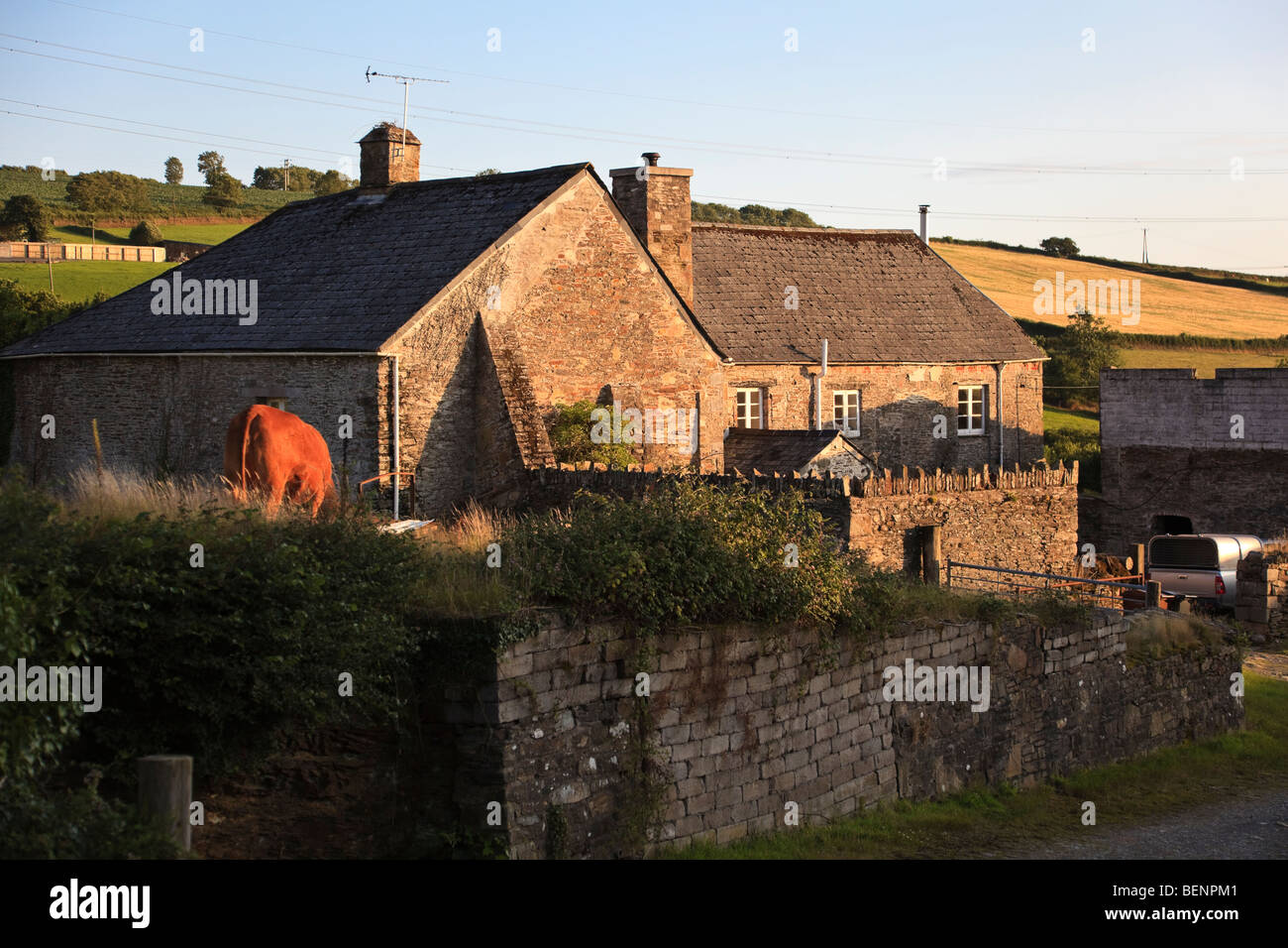 Ashleigh Barton Farm near Tamerton Foliot, Devon, UK, at sunset Stock ...