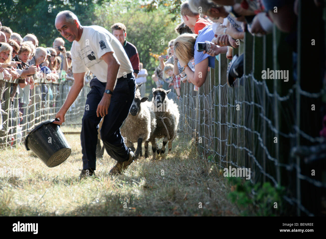 Masham sheep fair hi-res stock photography and images - Alamy