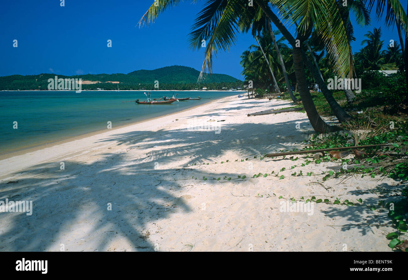 Generic paradise beach hi-res stock photography and images - Alamy