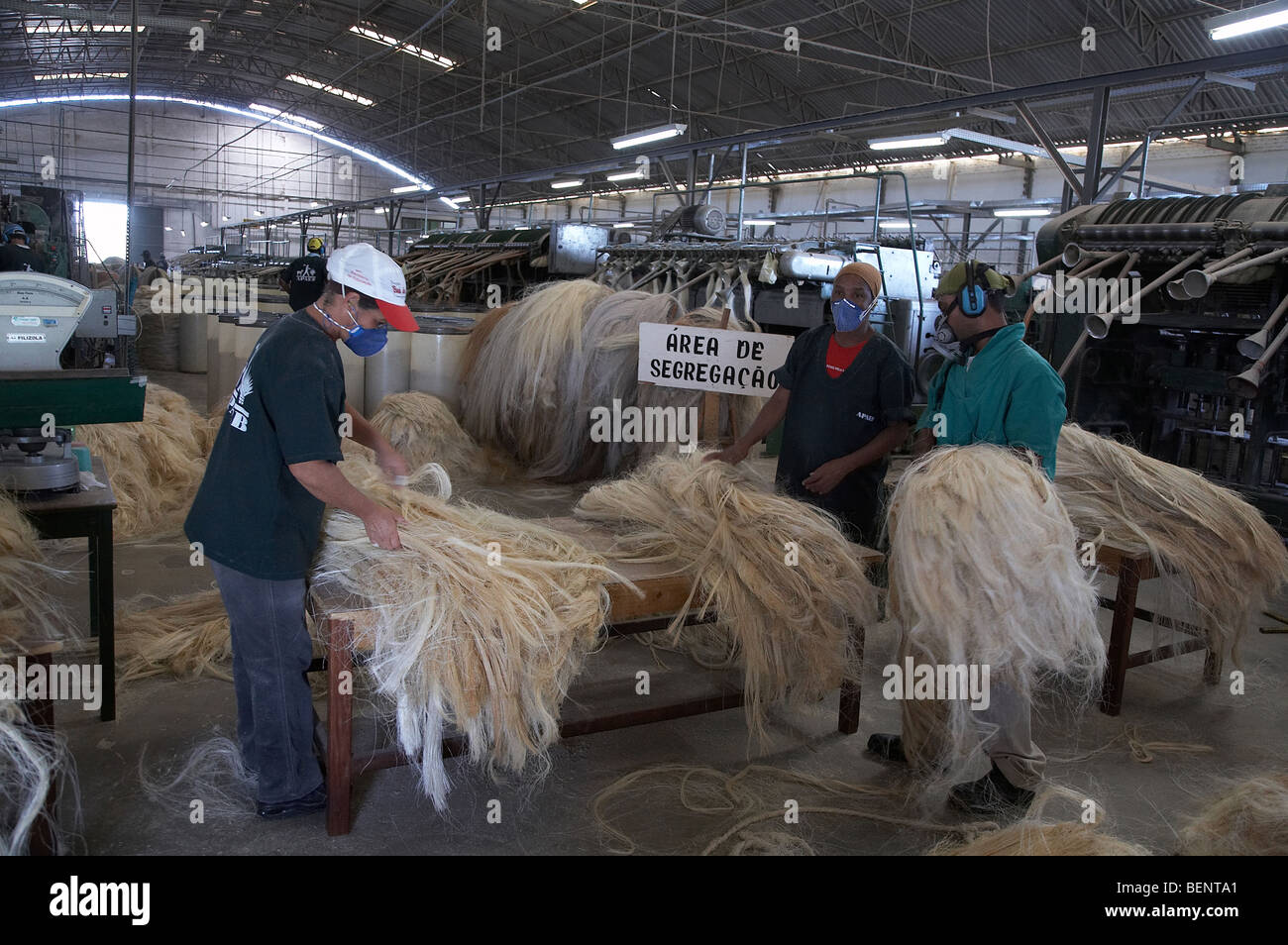 BRAZIL Sisal processing factory, Valente, Bahia Stock Photo - Alamy
