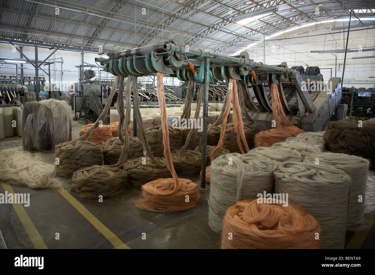 BRAZIL Sisal processing factory, Valente, Bahia Stock Photo - Alamy