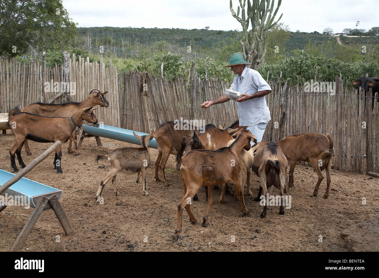 Brazil and farmer hi-res stock photography and images - Alamy