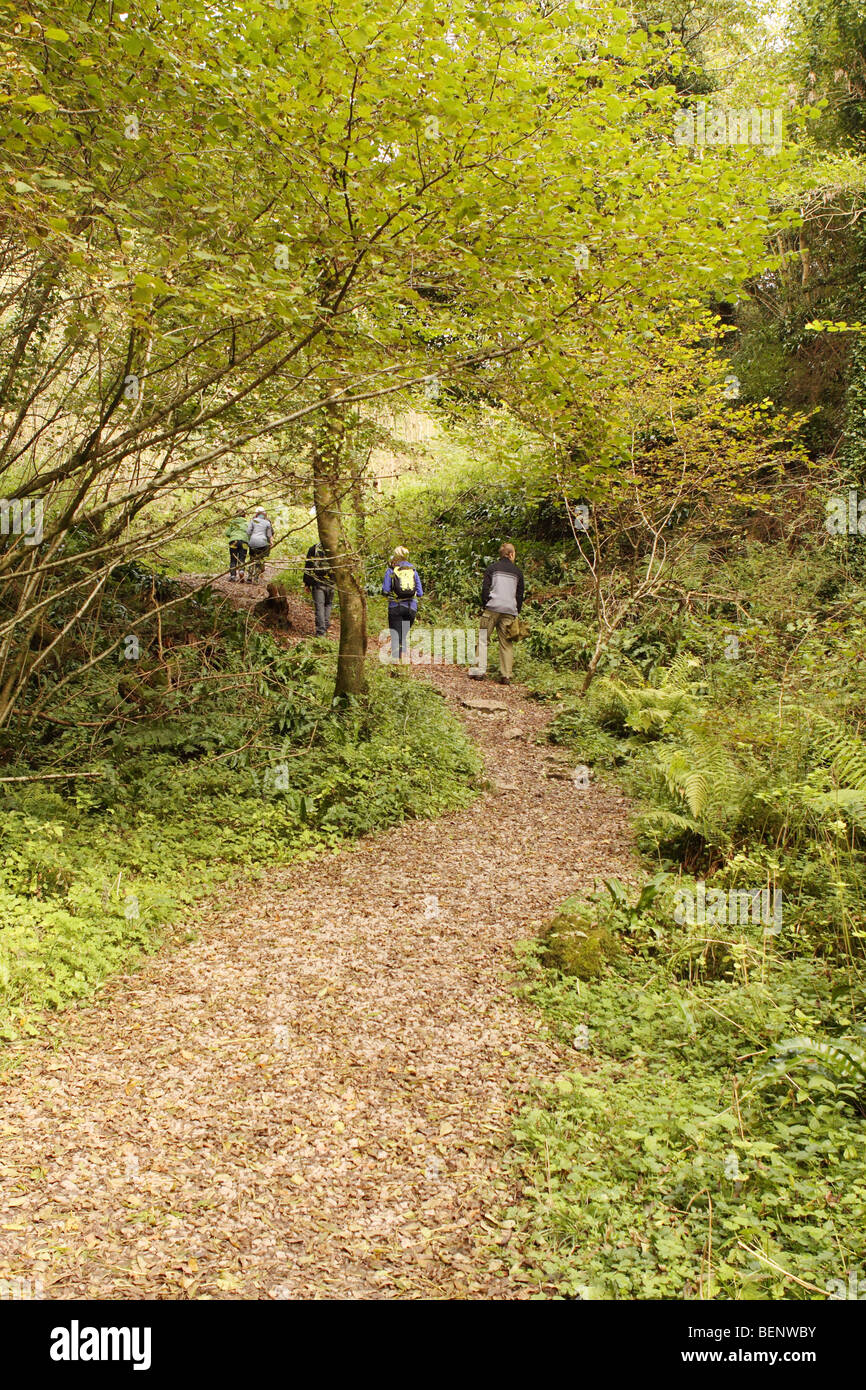 Ebbor Gorge Somerset on the Mendip Hills visitors walking through the ...