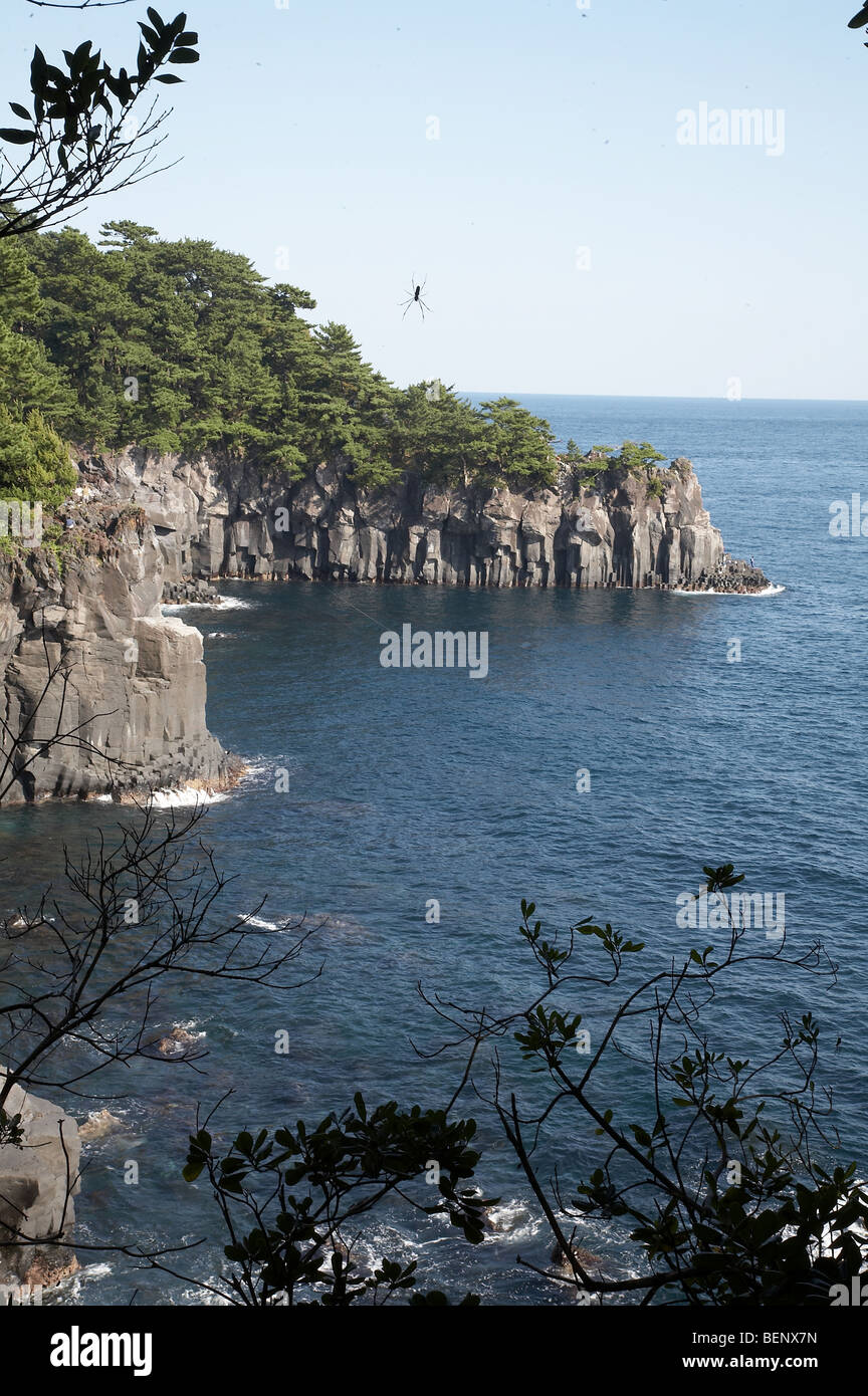 JAPAN Izu Peninsular coastline. photo by Sean Spraqgue 2008 Stock Photo ...
