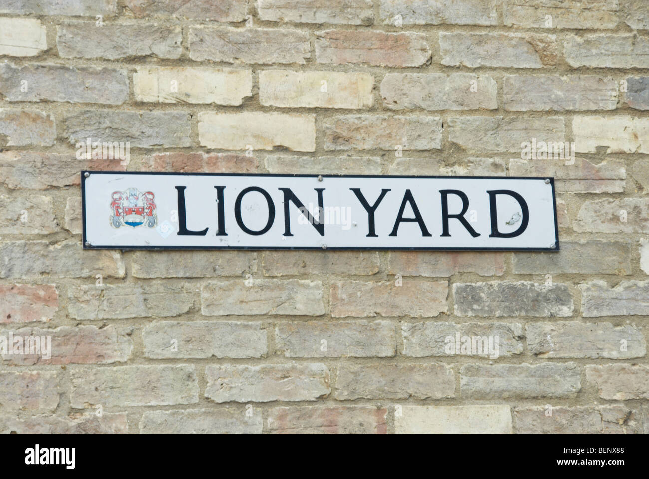 Lion yard hi-res stock photography and images - Alamy