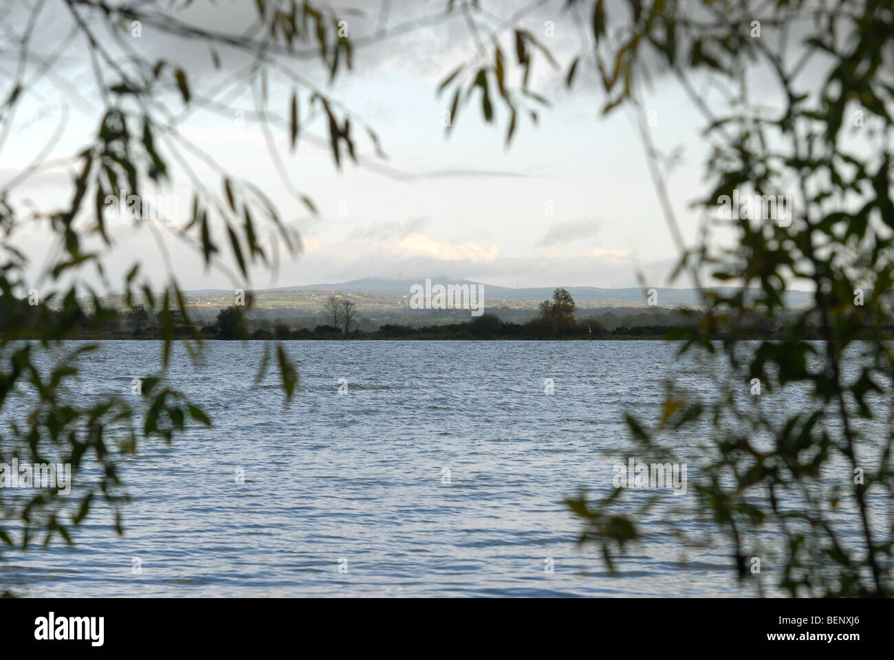 Oxford Island Nature Reserve, Lough Neagh, County Armagh, Northern ...