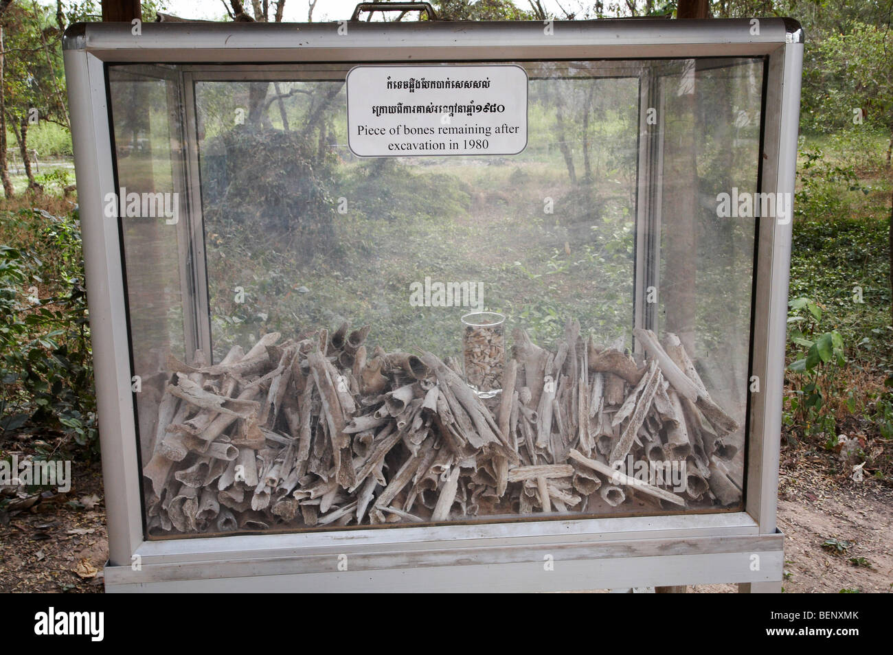 Cambodia Killing Fields Memorial