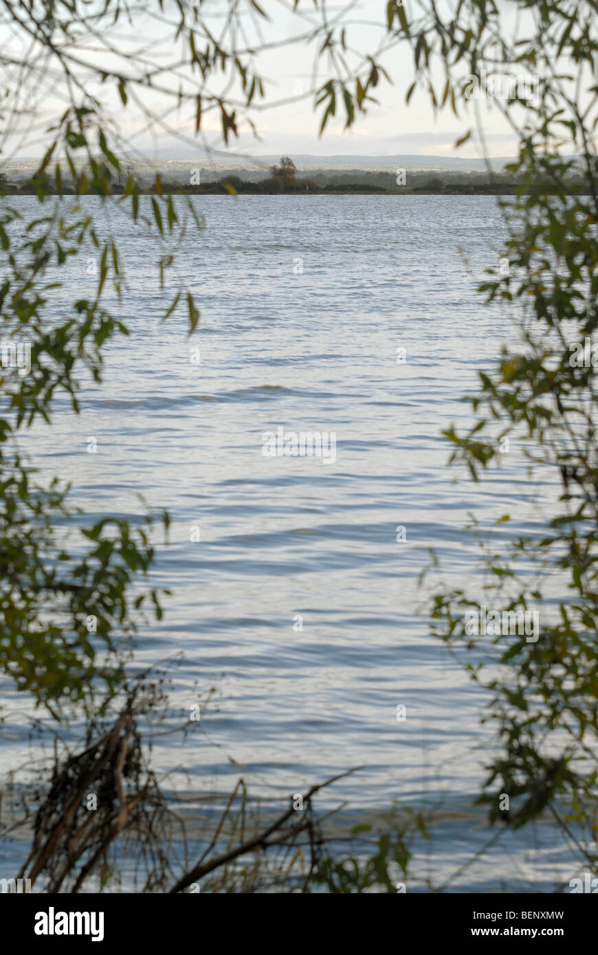 Oxford island nature reserve lough hi-res stock photography and images ...