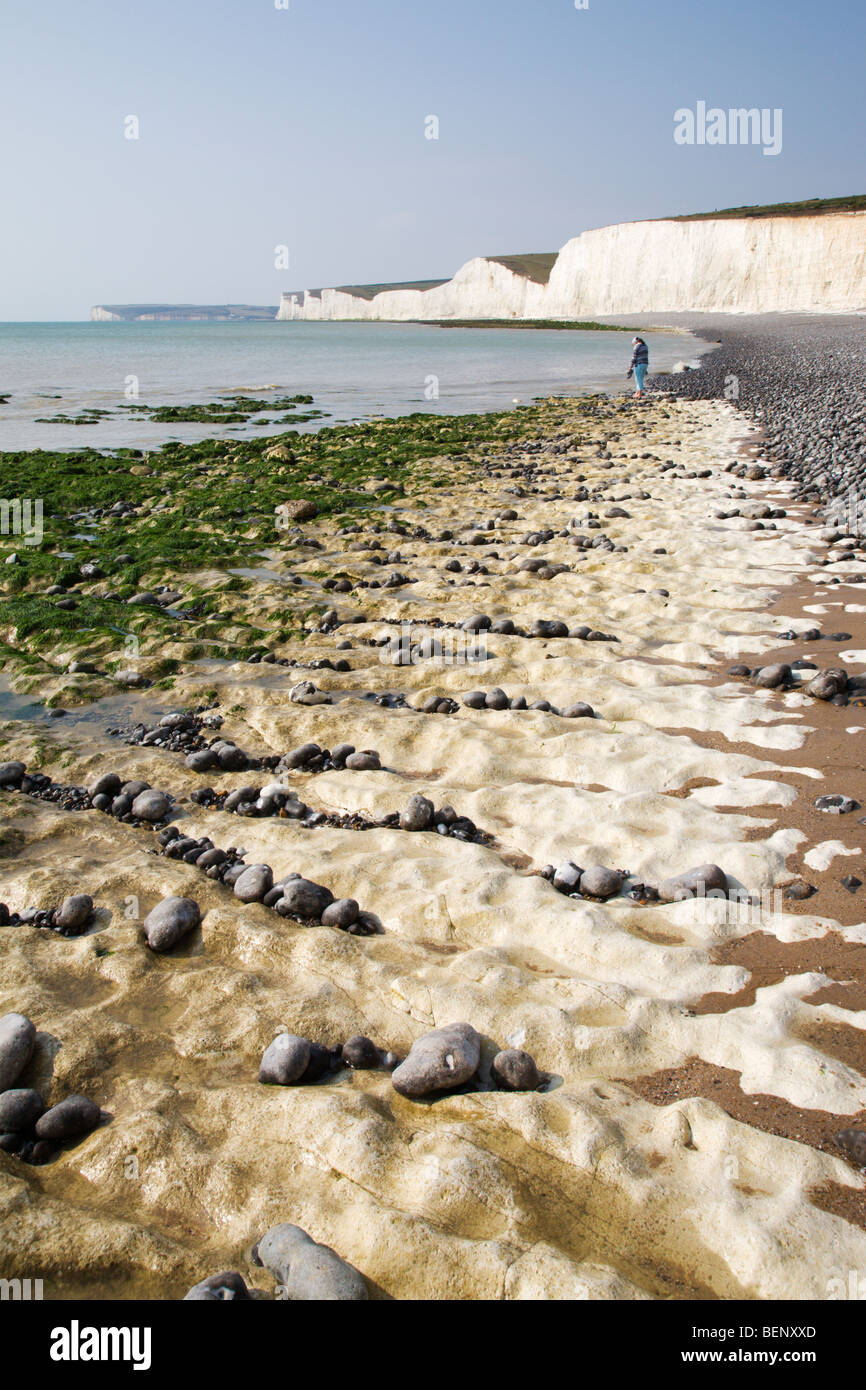 "Birling Gap" and the "Seven Sisters" cliffs in Sussex, England, UK ...