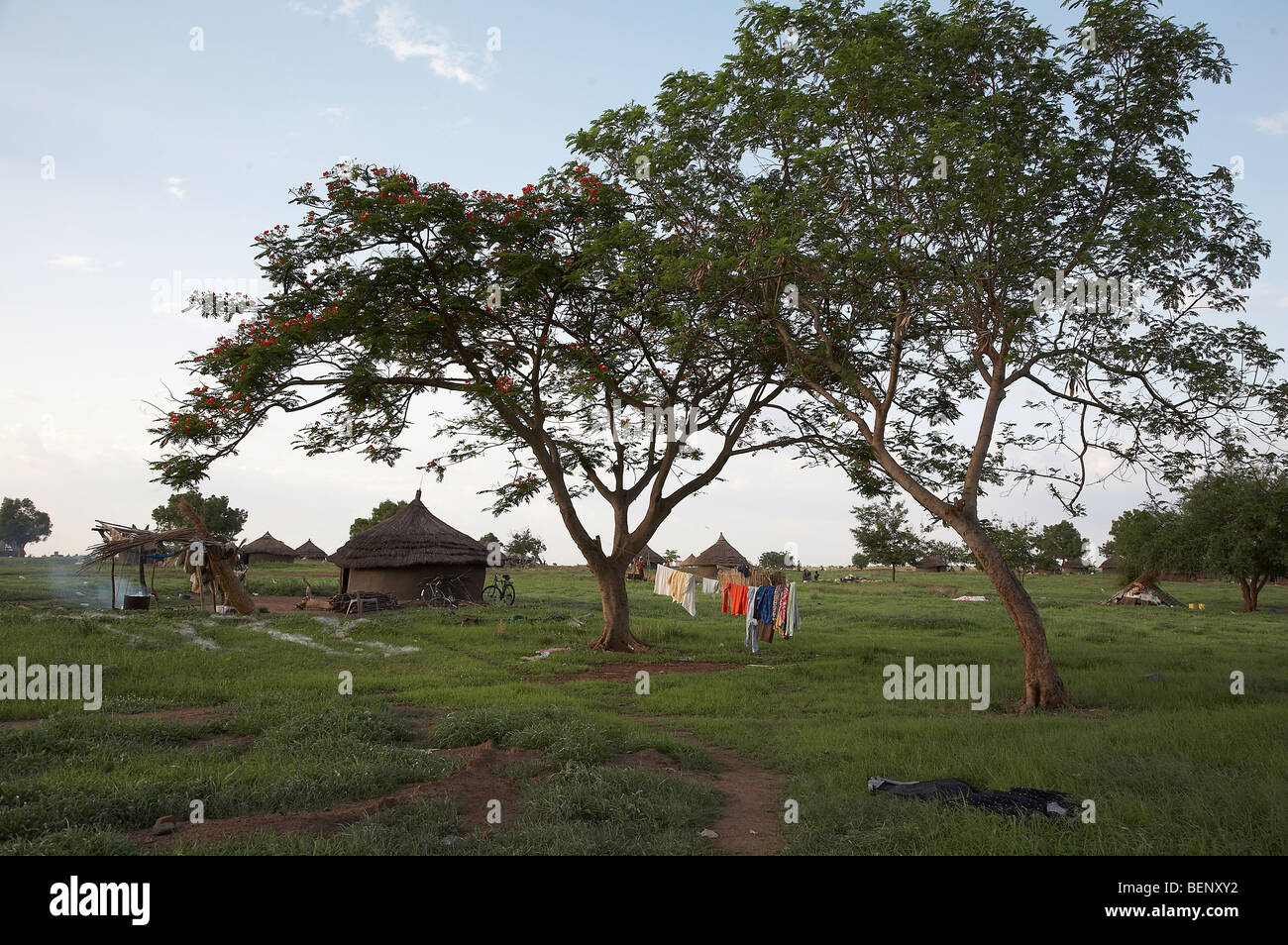 Tree hut hi-res stock photography and images - Alamy