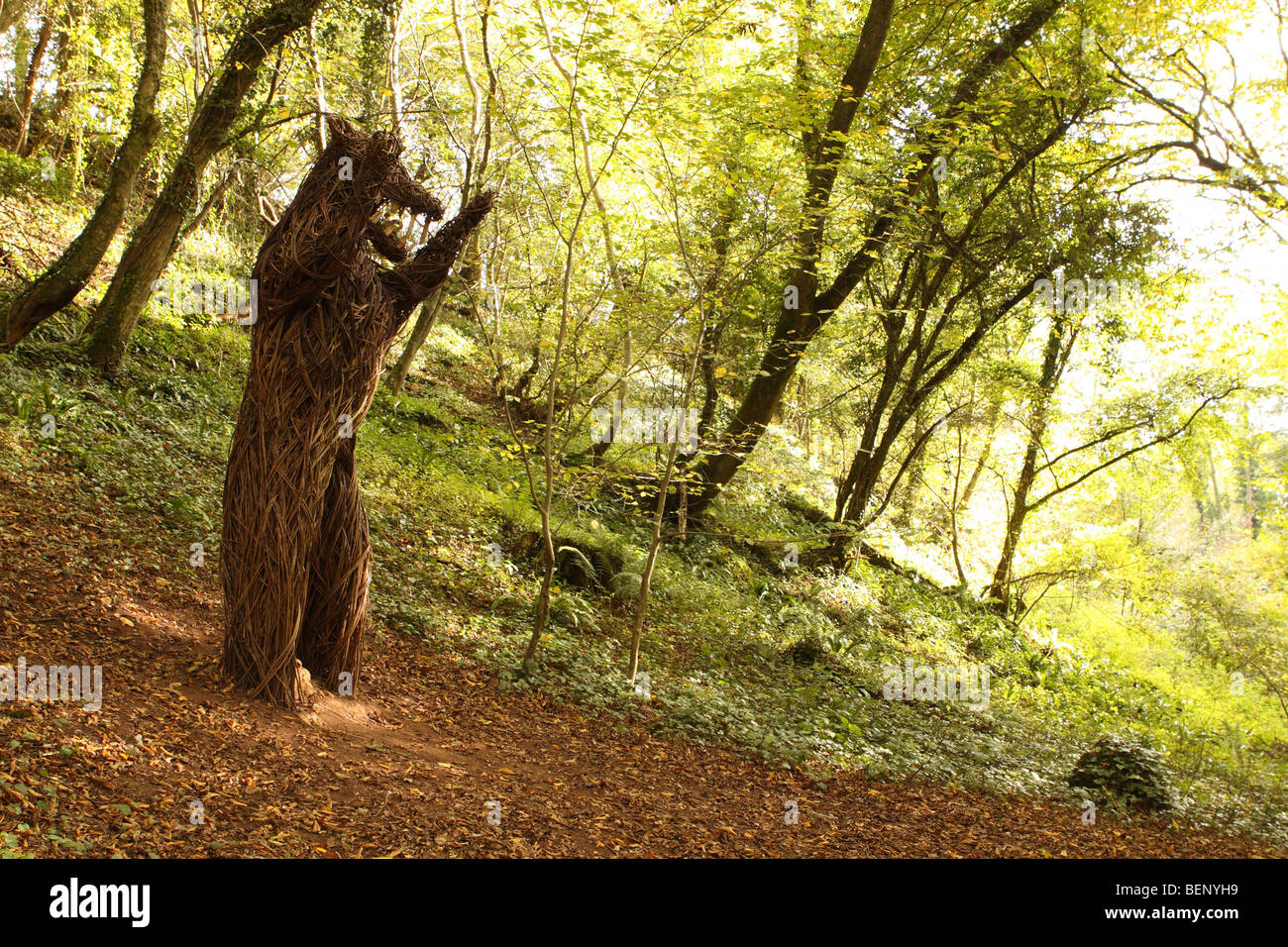 Ebbor Gorge Somerset on the Mendip Hills a bear figure made of willow ...