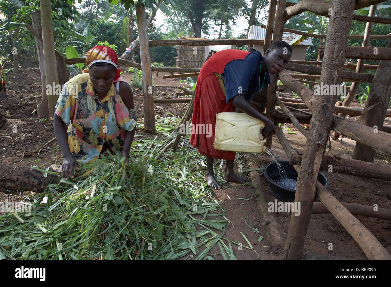 Uganda women farming hi-res stock photography and images - Alamy
