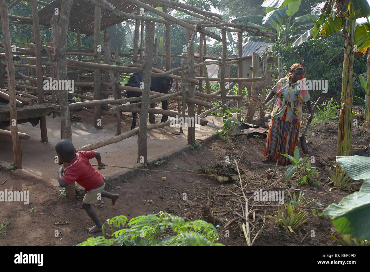 Africa compost hi-res stock photography and images - Alamy