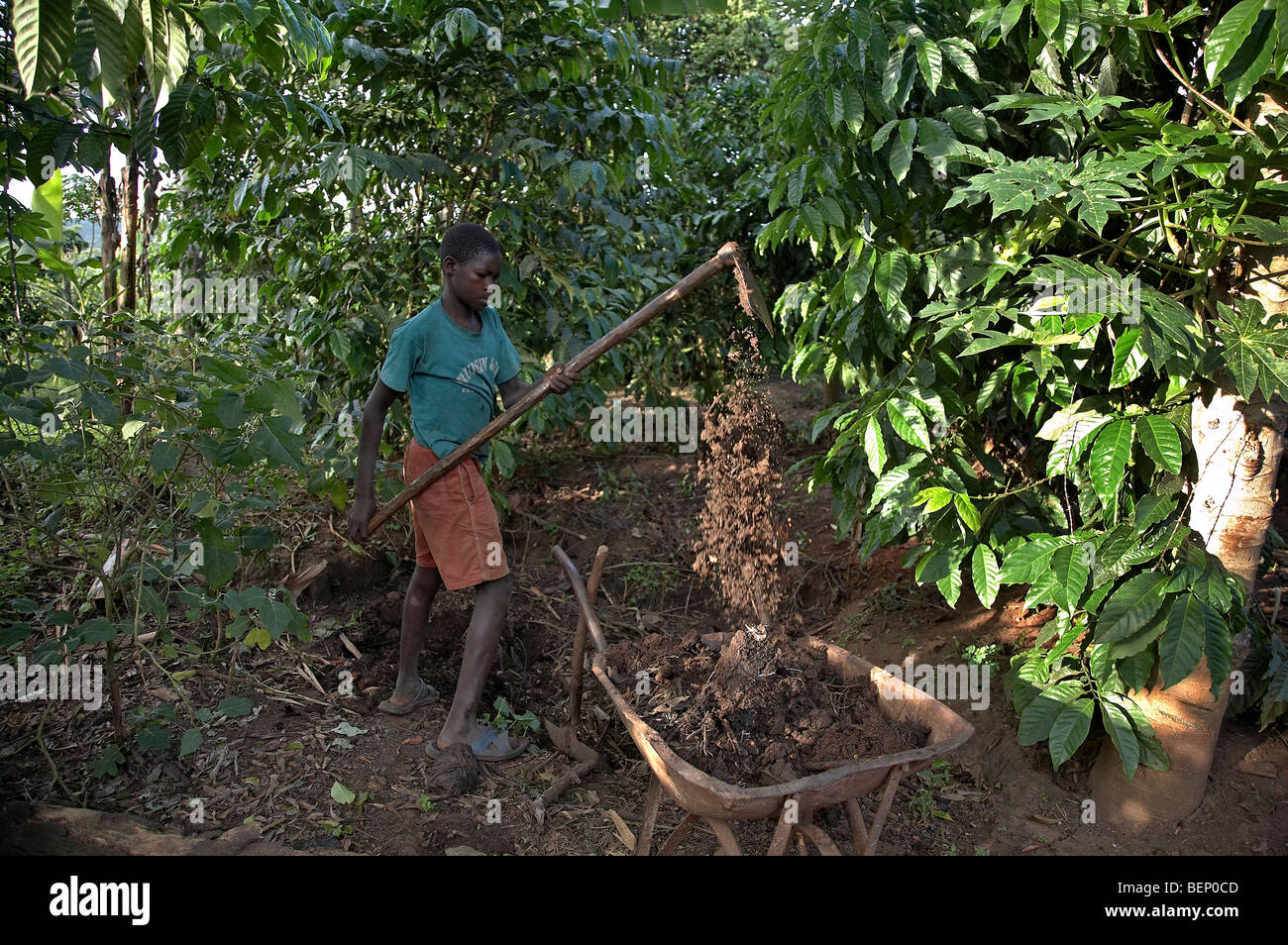 UGANDA In the home of Najjemba Teopista, Kasaayi village, Kayunga ...