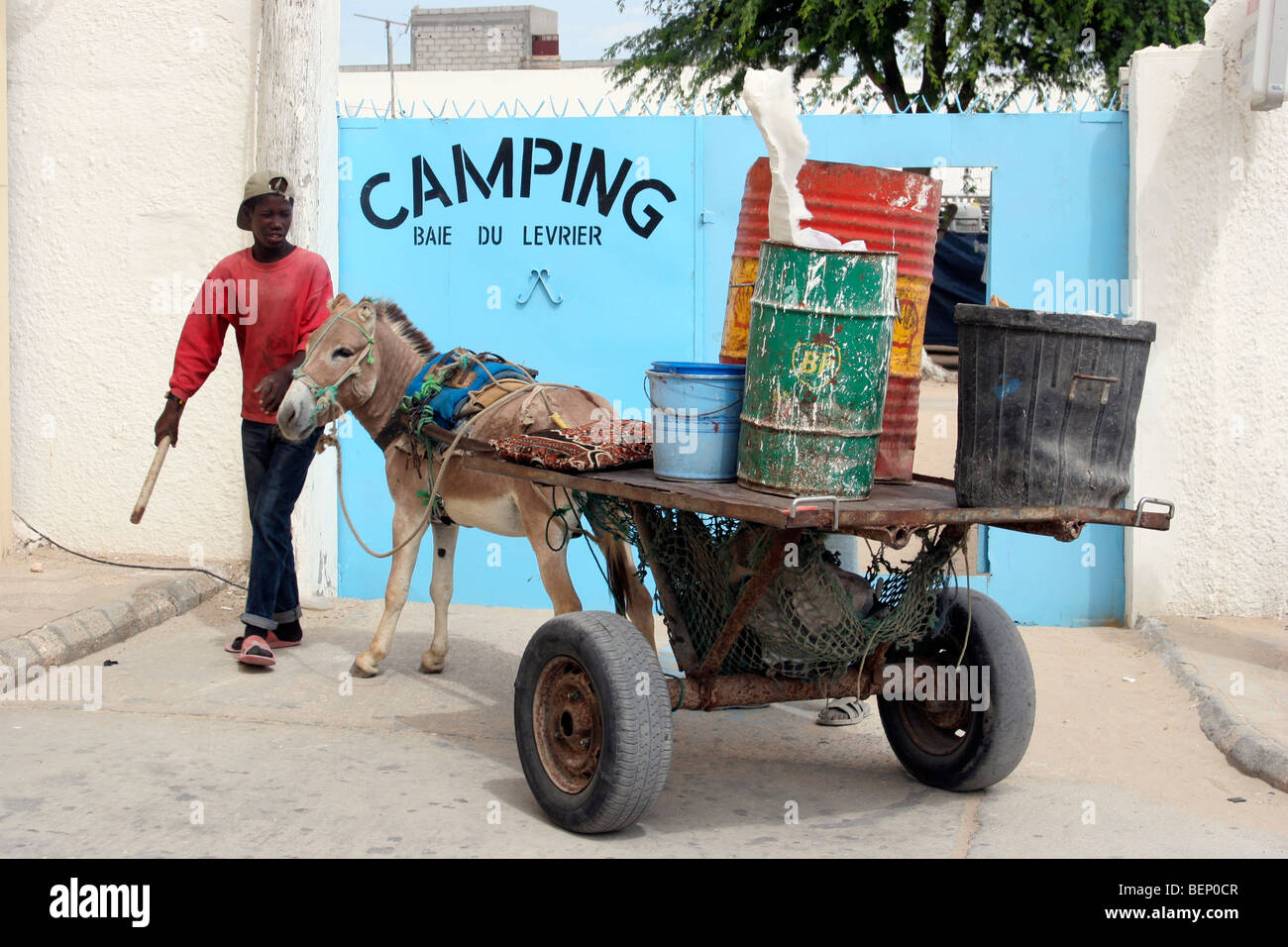 Refuse collection with donkey pulling dust cart in Nouadhibou ...