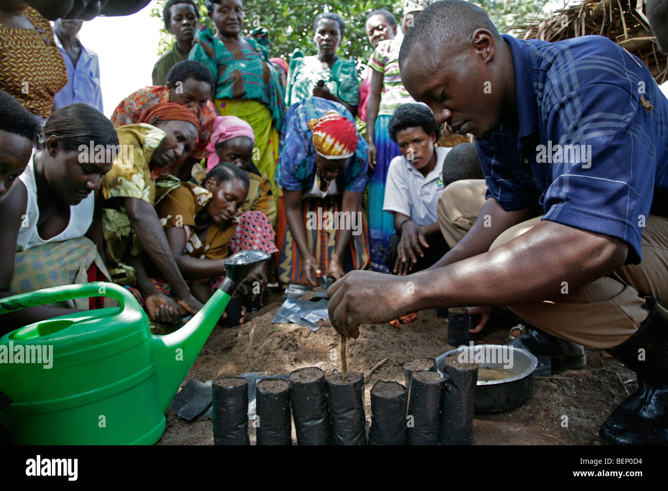 Tree planting africa hi-res stock photography and images - Alamy