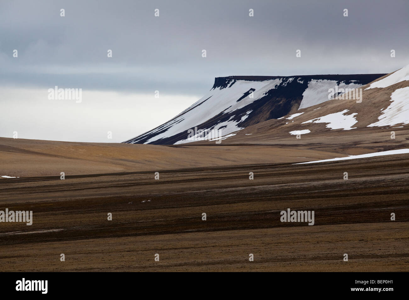 Polar desert hi-res stock photography and images - Alamy