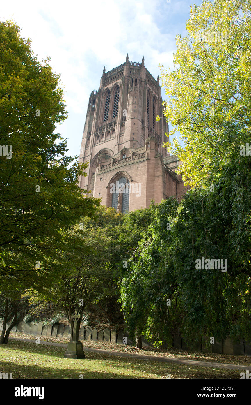 Liverpool City centre St James' garden and anglican cathedral Stock ...
