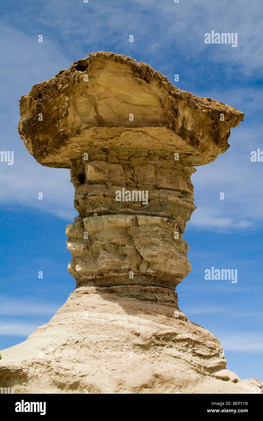 El Hongo – The Mushroom, Regional park of Ischigualasto, Valle de la ...