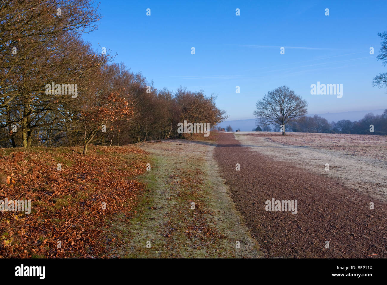Kinver edge staffordshire hi-res stock photography and images - Alamy